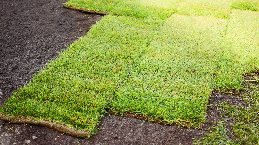 8 Proven Steps to Successfully Lay a Sod Lawn in Victoria, BC ...
