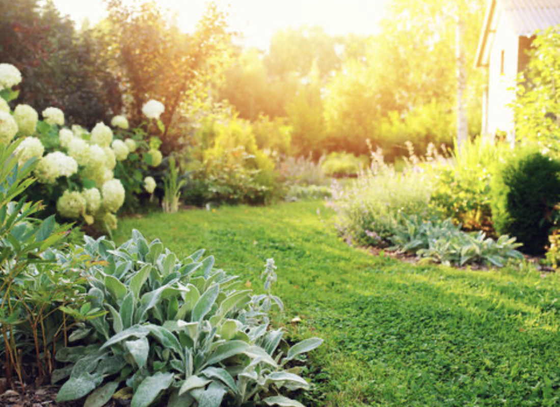 6 Easy and Affordable Ways to Pretty Up Your Yard for Spring