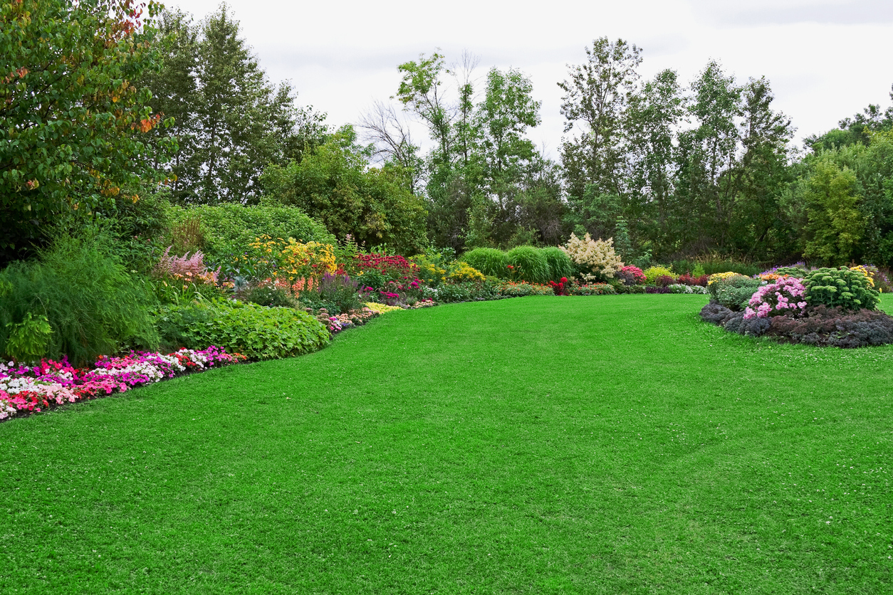 How to Keep Your Grass Green - IslandEarth Landscape Services LTD